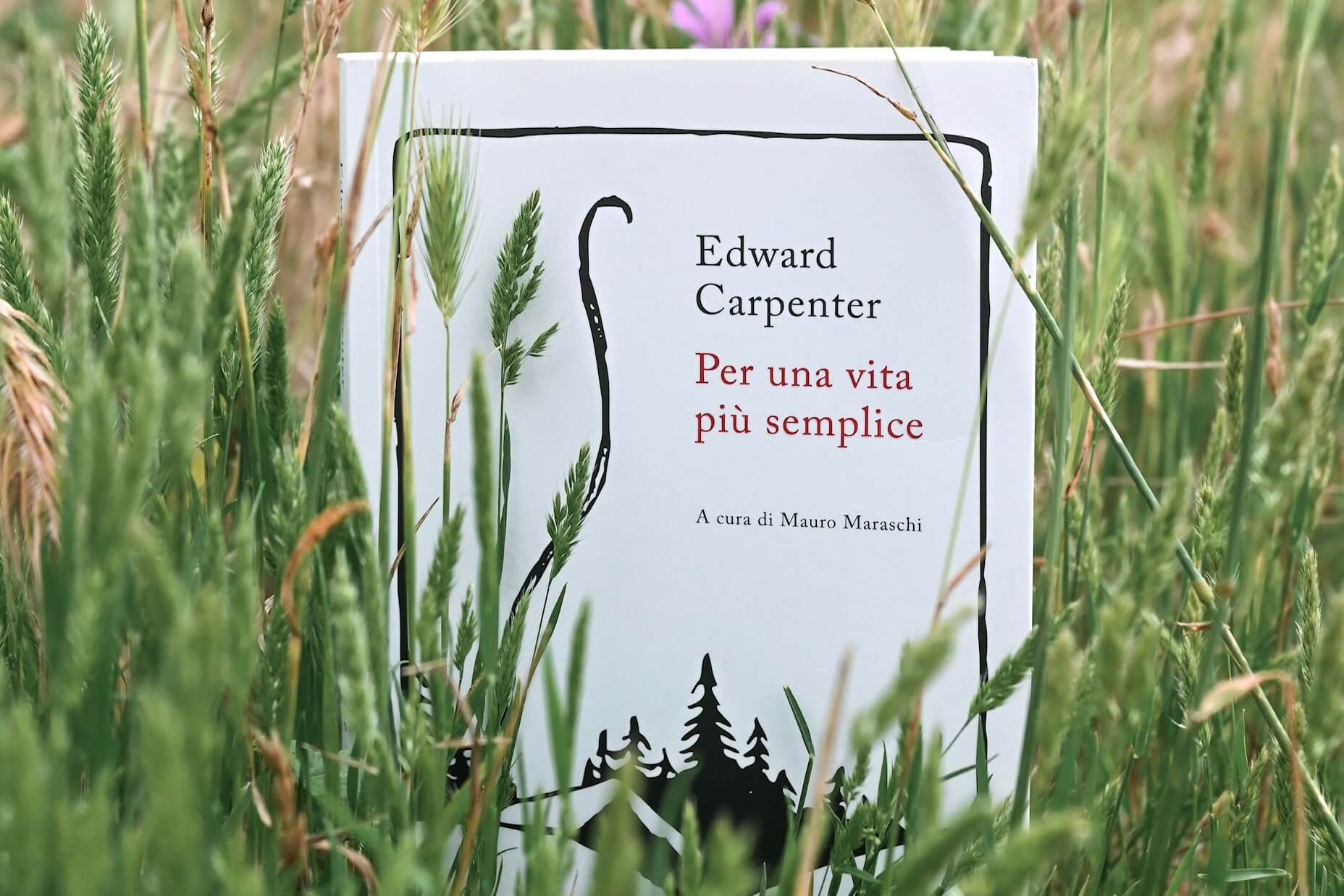 “Per una vita più semplice” di Edward Carpenter – Mr. Tannus